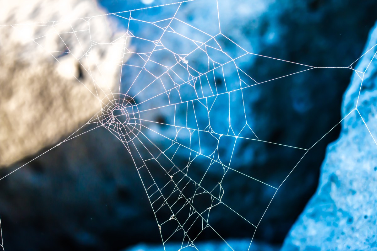 Dark Web Suspense Series – EMILY SENECAL BOOKS